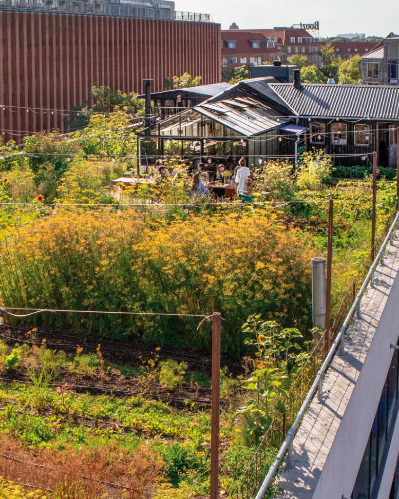 Urban Farm / Copenhagen, Denmark - Diadem