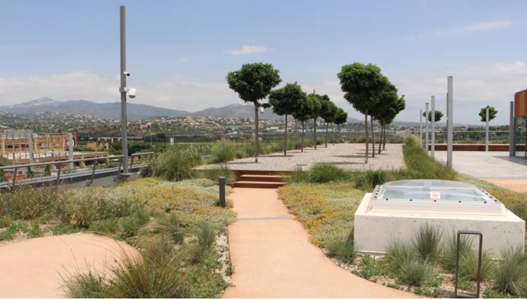 One way to transform urban spaces – Green Roofs on Bus Stops - Diadem